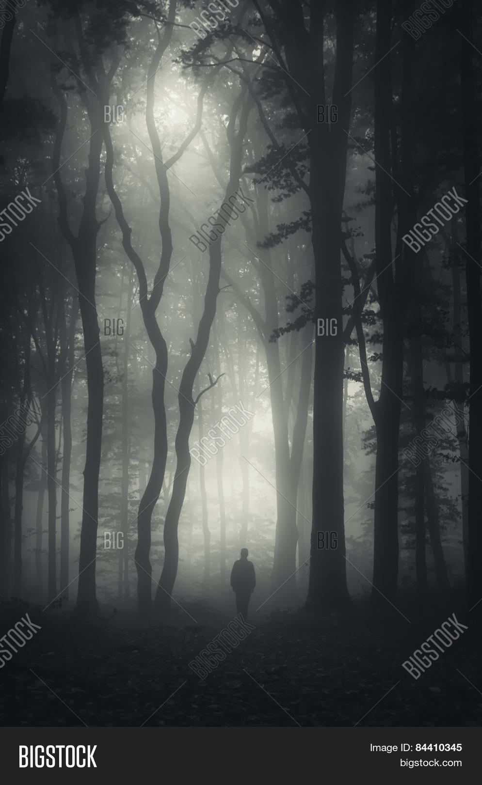 Ghost Silhouette Dark Image & Photo (Free Trial) | Bigstock