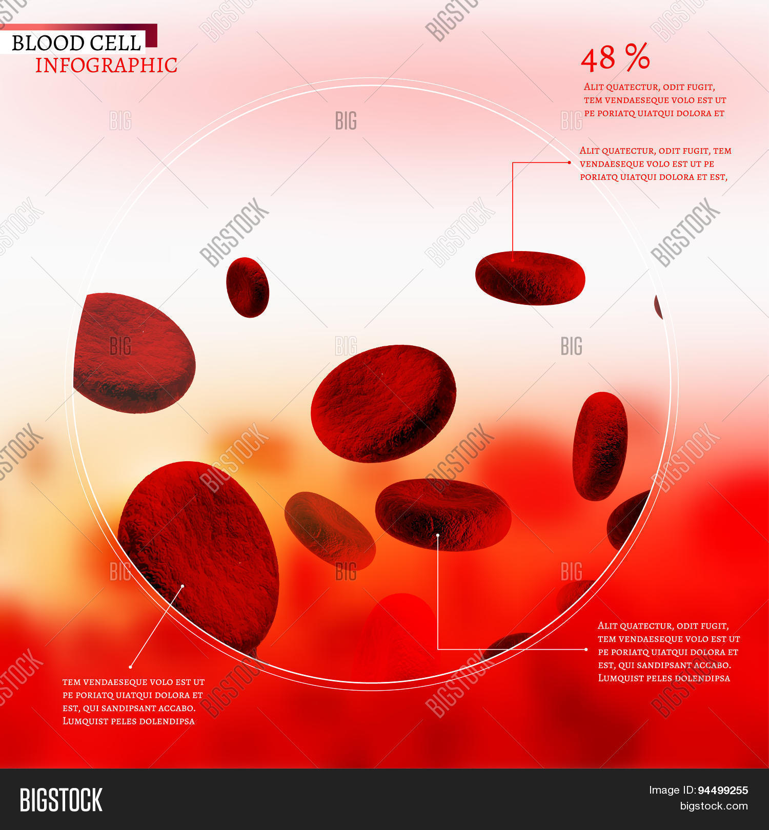 Blood Cell Vector & Photo (Free Trial) | Bigstock