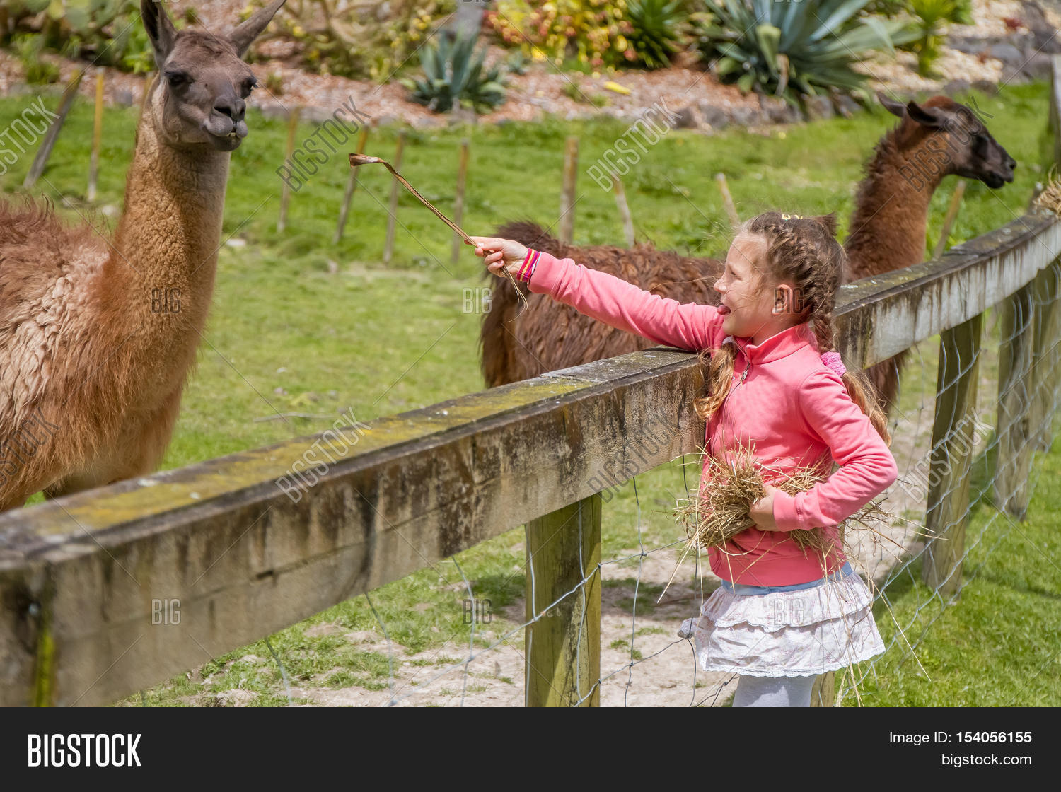 Little Kid Feeding Big Image & Photo (Free Trial) | Bigstock