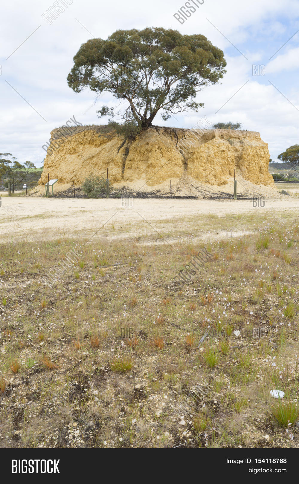 Shell Hill, Image & Photo (Free Trial) | Bigstock