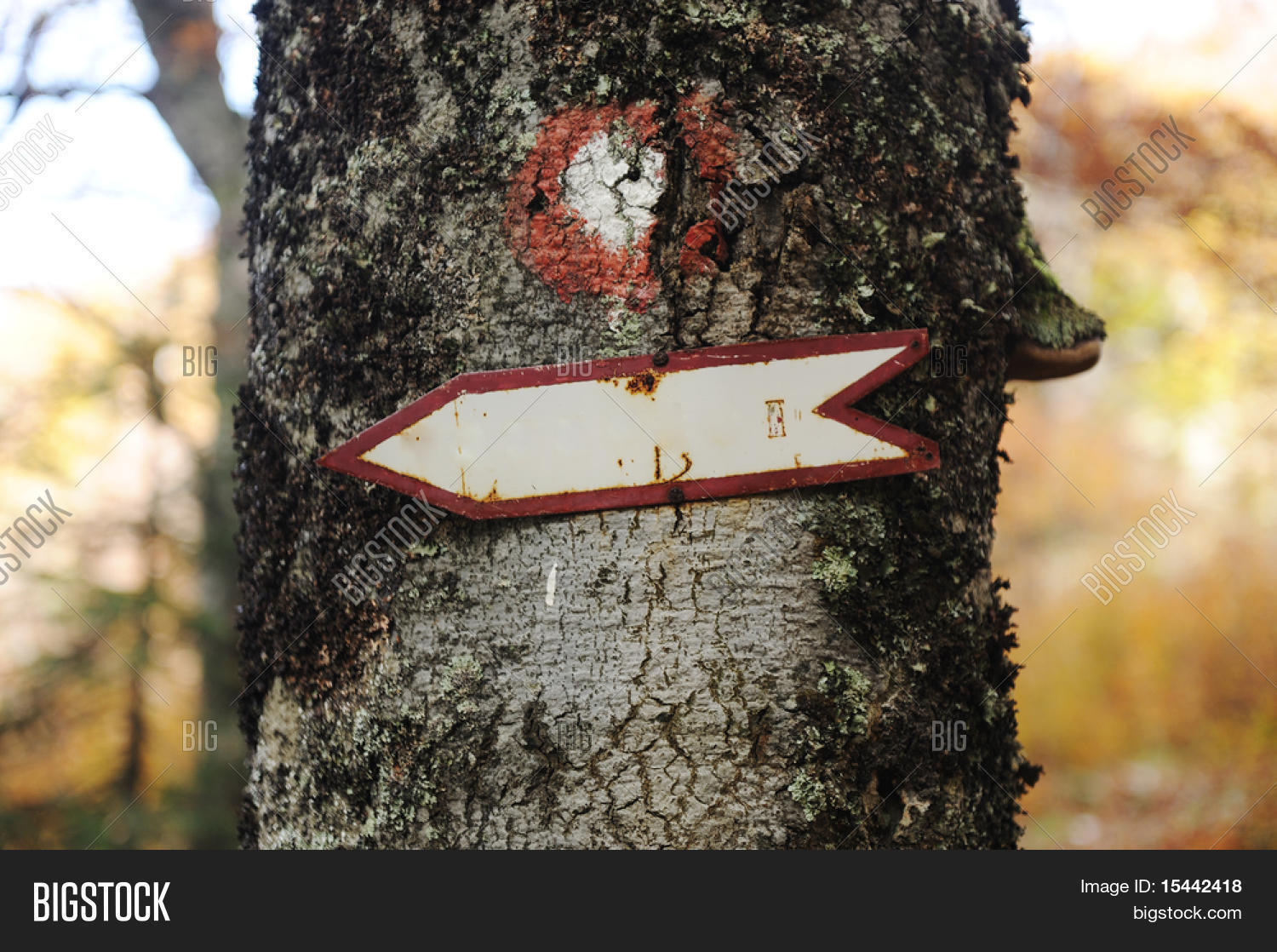 Sign Post Pointing Image & Photo (Free Trial) | Bigstock