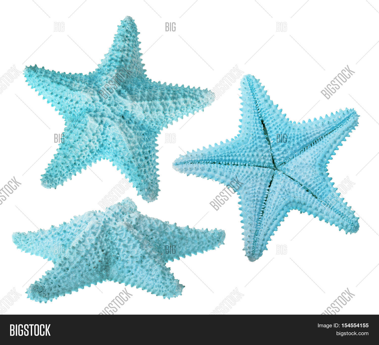 Set Light Blue Image & Photo (Free Trial) | Bigstock