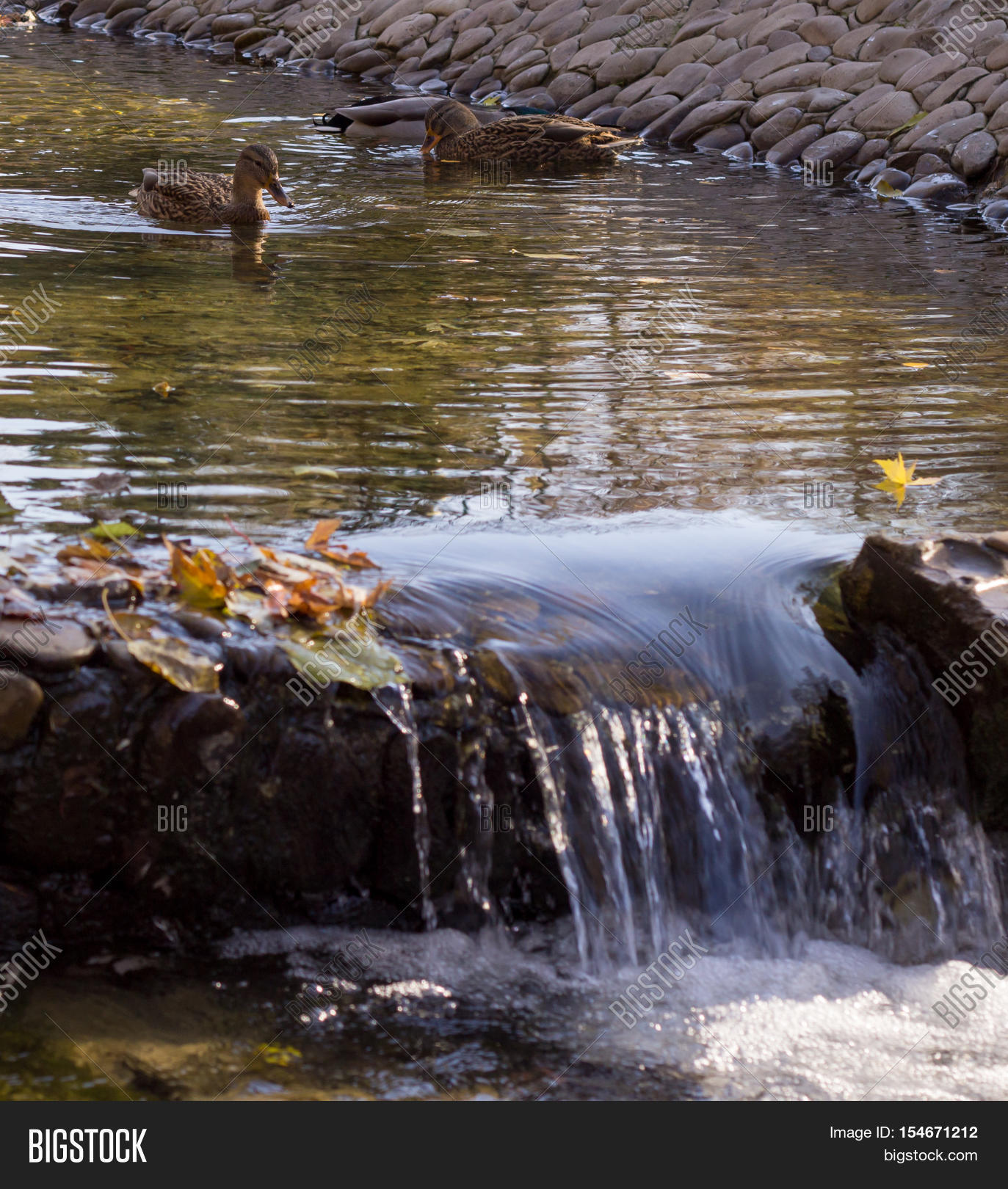 Autumn Very Beautiful Image & Photo (Free Trial) | Bigstock