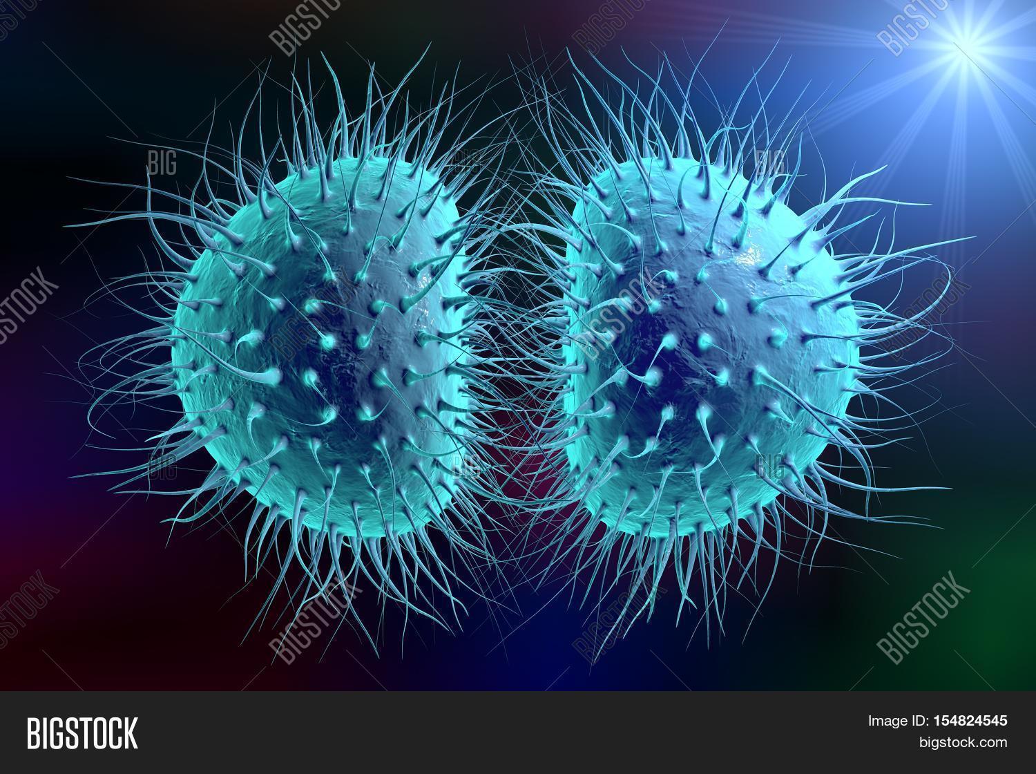 Bacteria Neisseria Image & Photo (Free Trial) | Bigstock