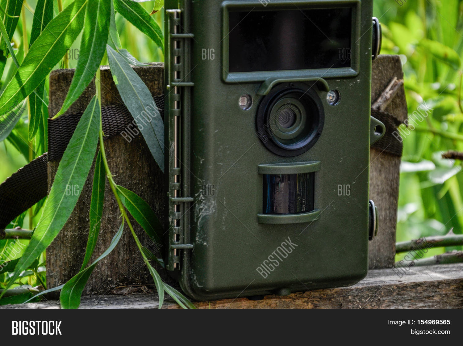 Camera Trap Infrared Image & Photo (Free Trial) | Bigstock
