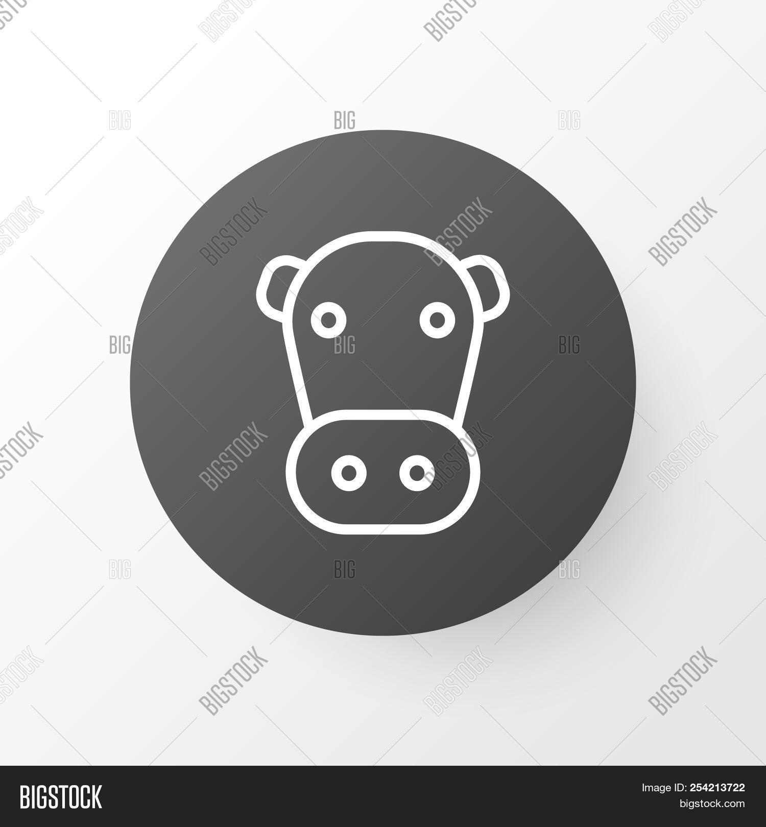 Cow Icon Symbol. Image & Photo (Free Trial) | Bigstock