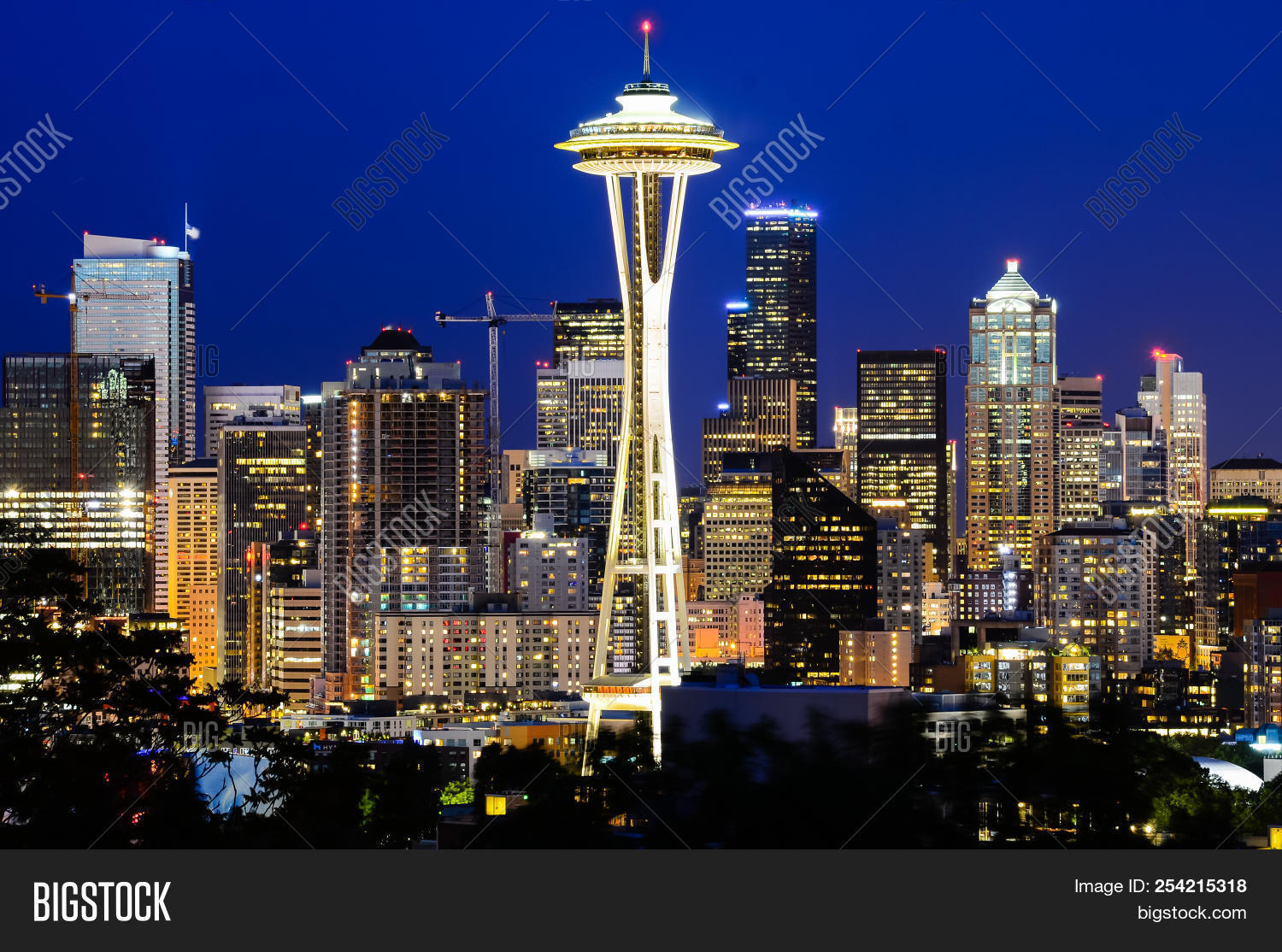 Illuminated Seattle Image & Photo (Free Trial) | Bigstock