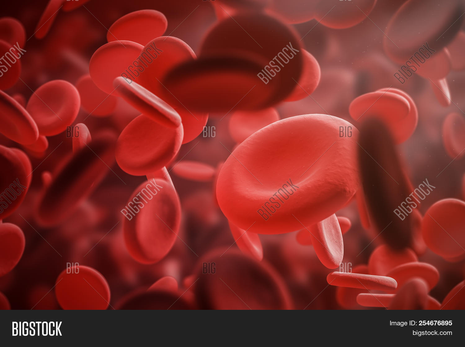 Red Blood Cells Macro Image & Photo (Free Trial) | Bigstock