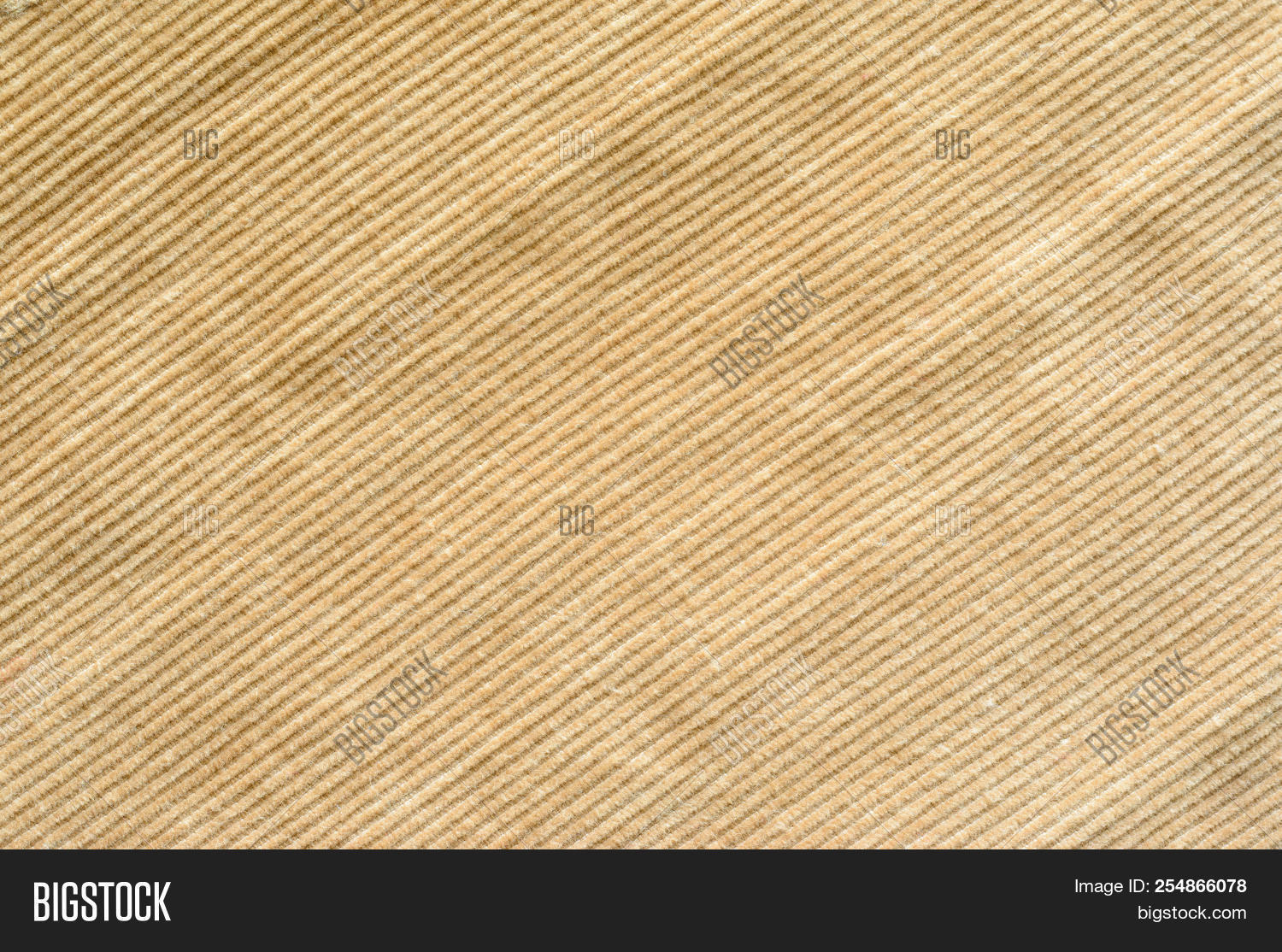 Texture Beige Velvet Image & Photo (Free Trial) | Bigstock