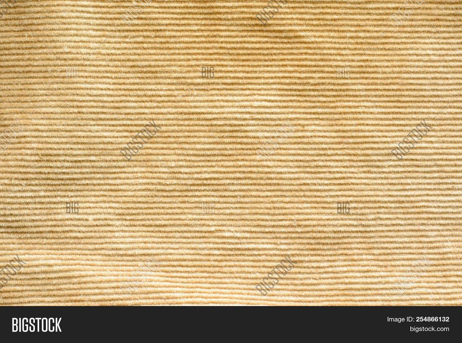 Texture Beige Velvet Image & Photo (Free Trial) | Bigstock