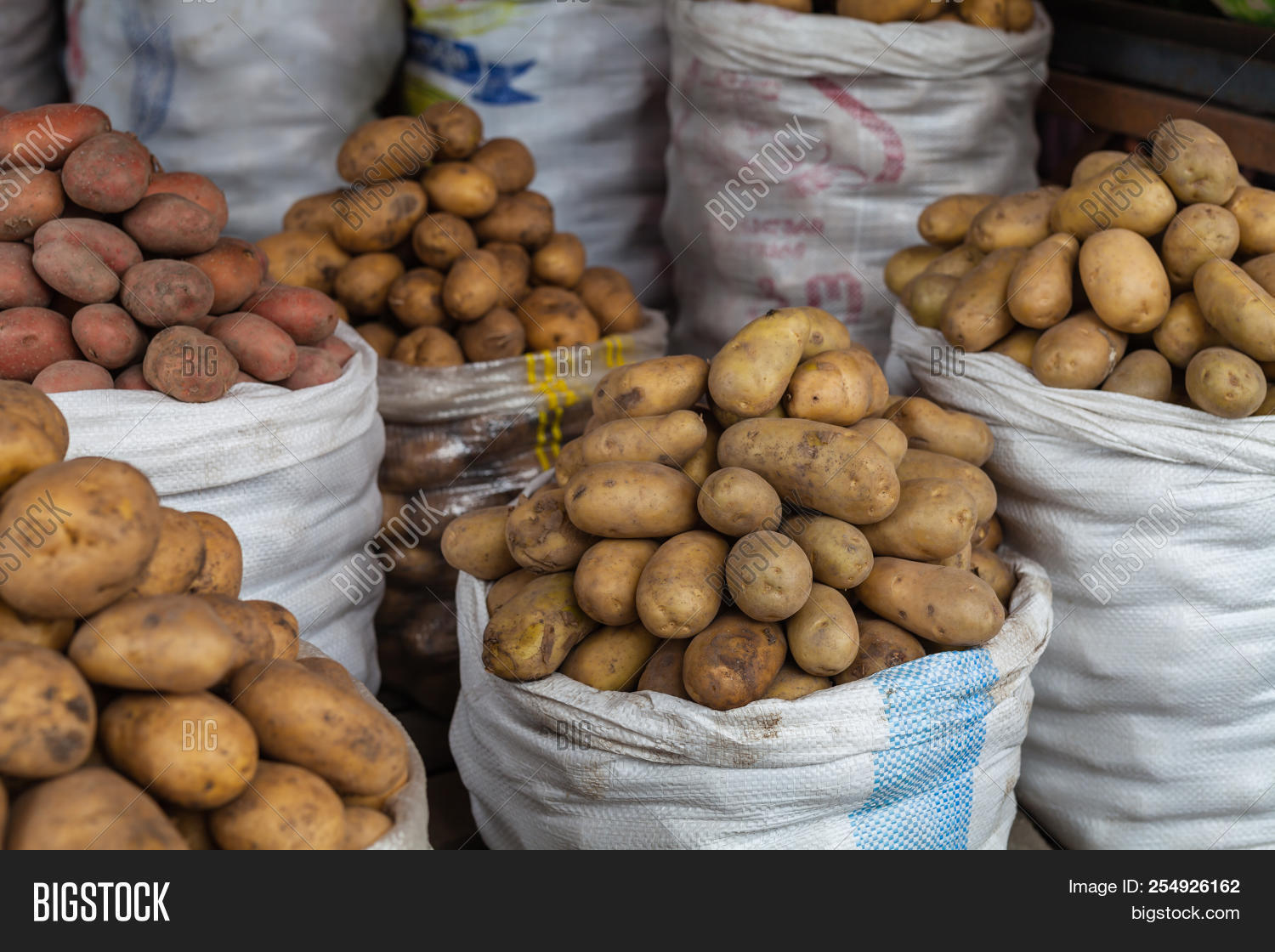 Fresh Organic Food Image & Photo (Free Trial) | Bigstock