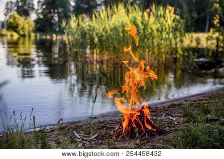 Beautiful Campfire Image & Photo (Free Trial) | Bigstock
