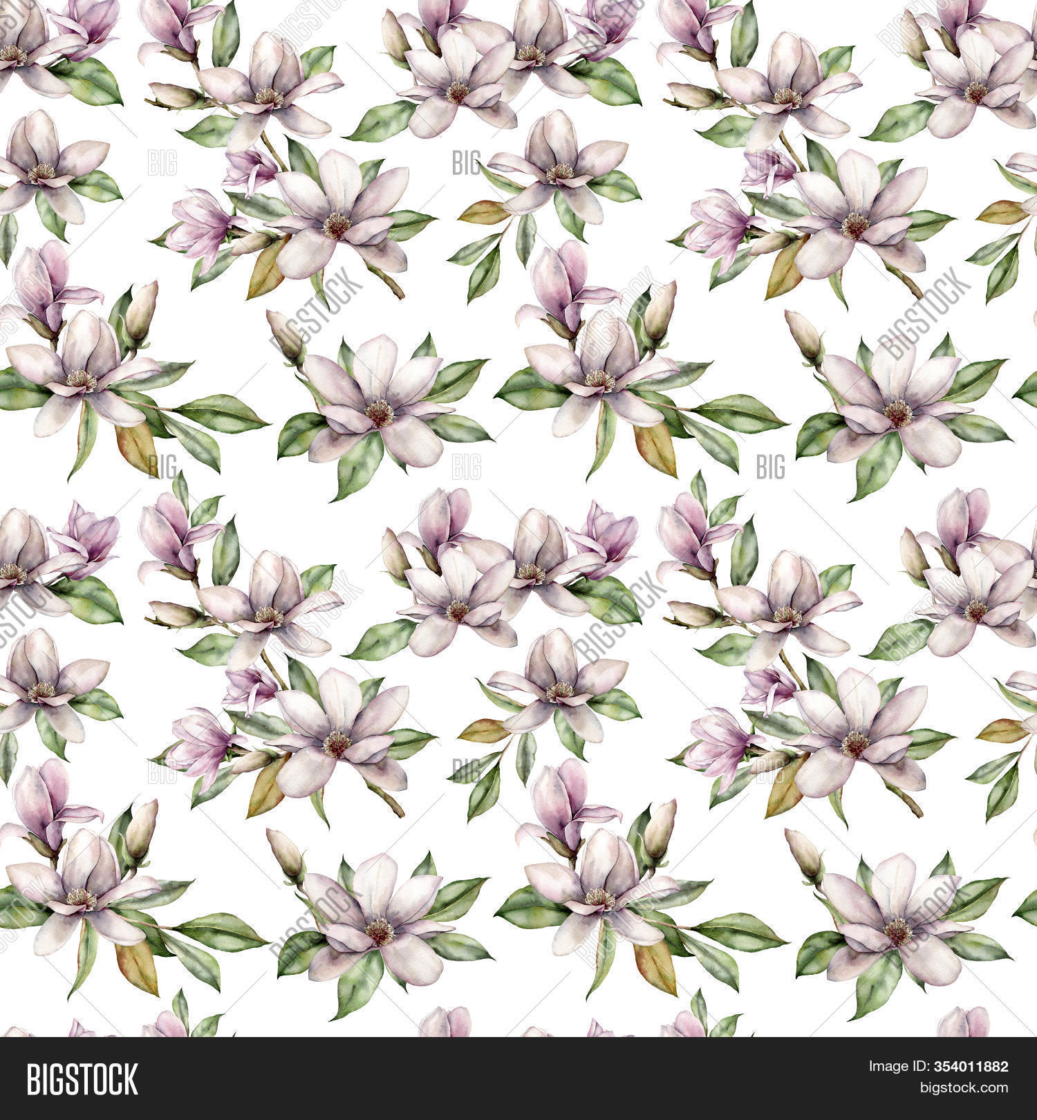 Watercolor Magnolias Image & Photo (Free Trial) | Bigstock