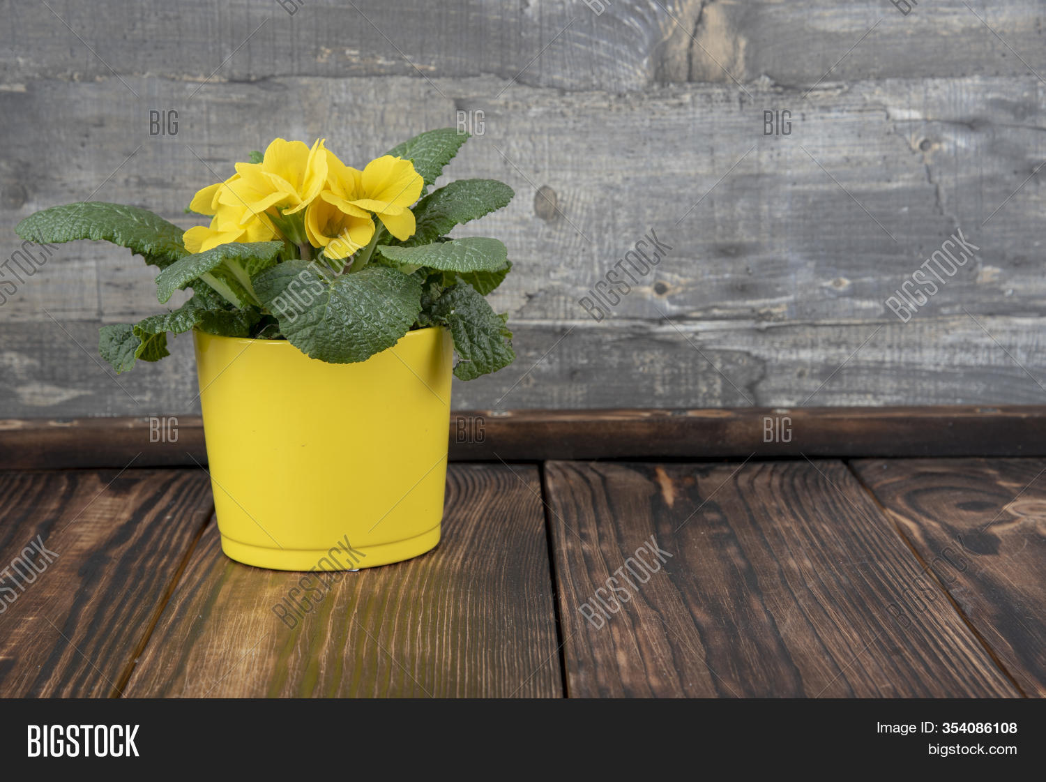 One Bright Yellow Image & Photo (Free Trial) | Bigstock