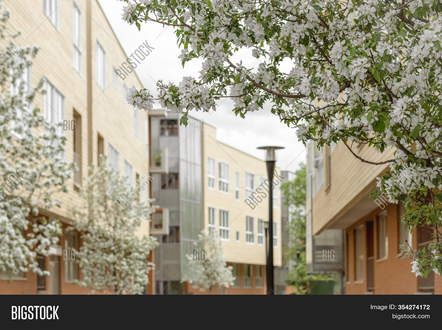 Spring City. Street Image & Photo (Free Trial) | Bigstock