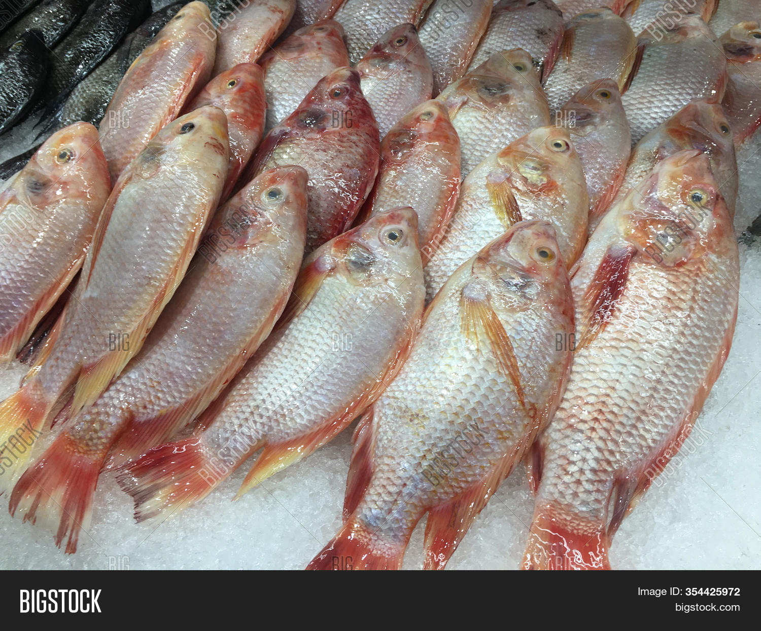 Fresh Fish Sell Super Image & Photo (Free Trial) | Bigstock