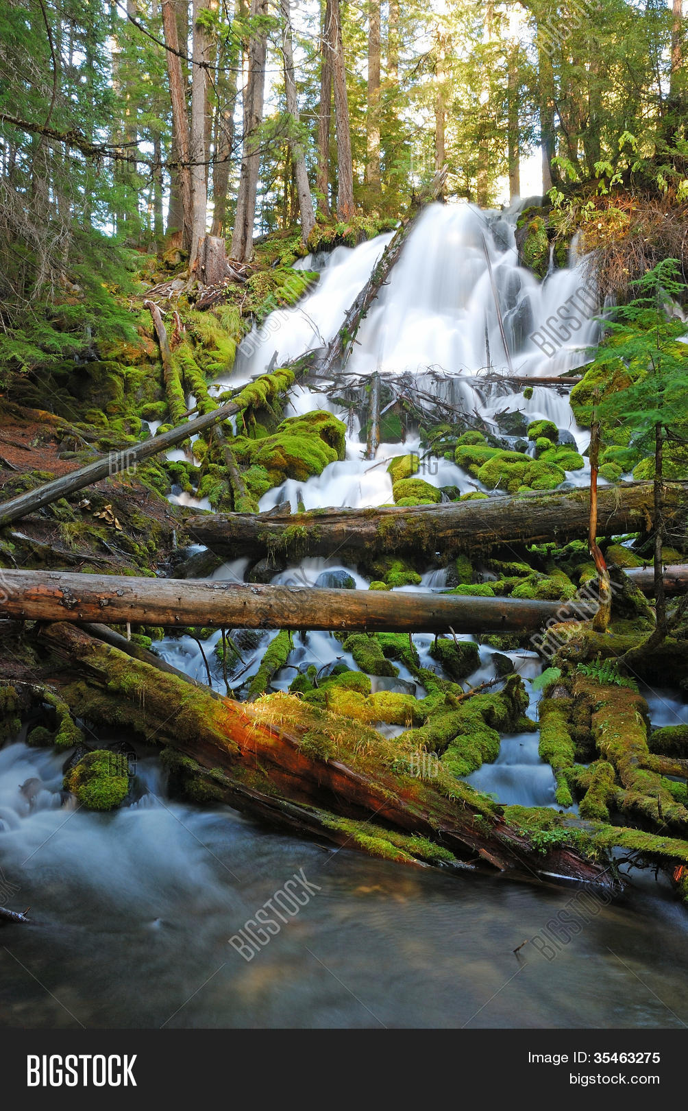 Clearwater Falls Image & Photo (Free Trial) | Bigstock