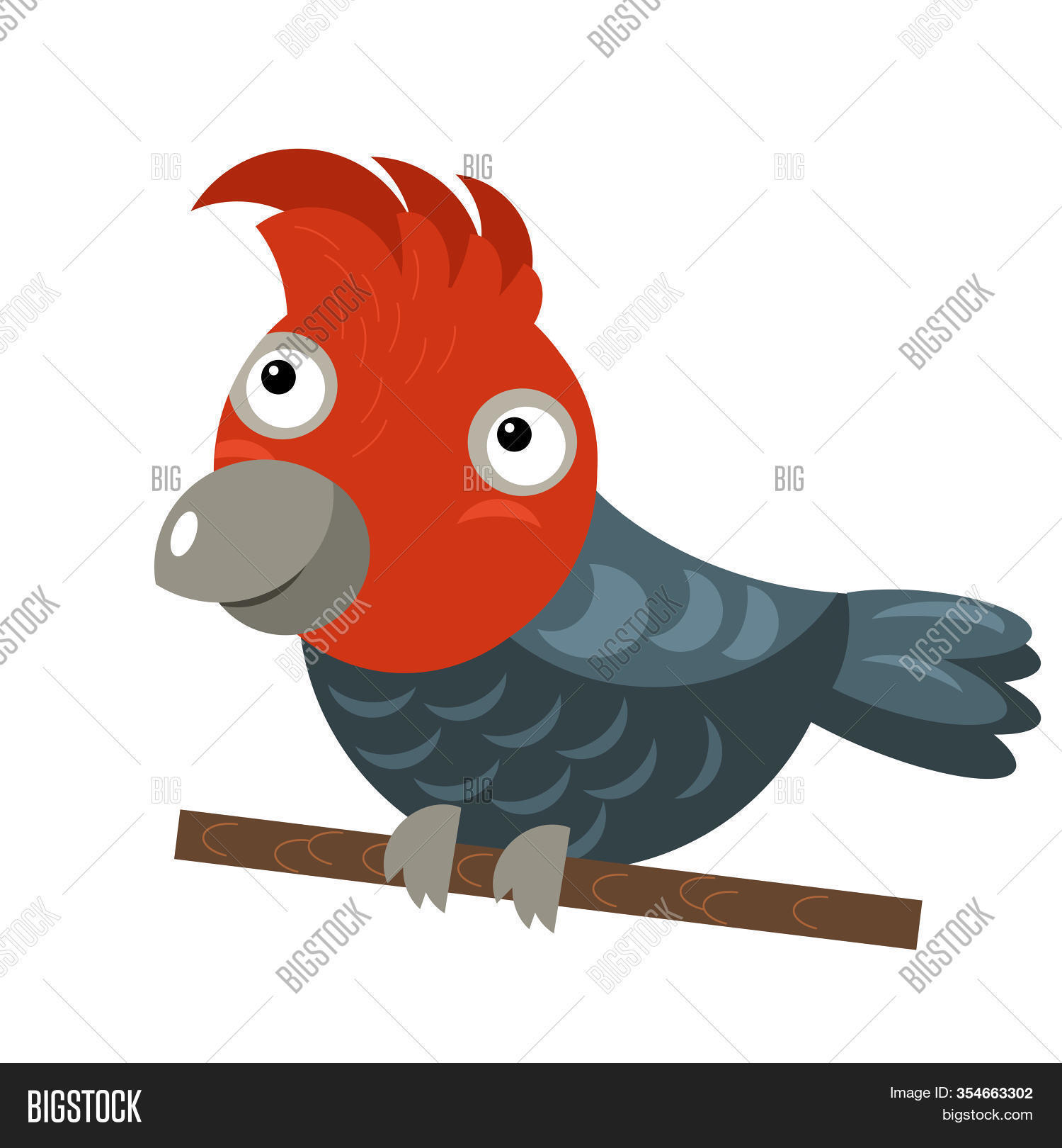 Cartoon Australian Image & Photo (Free Trial) | Bigstock