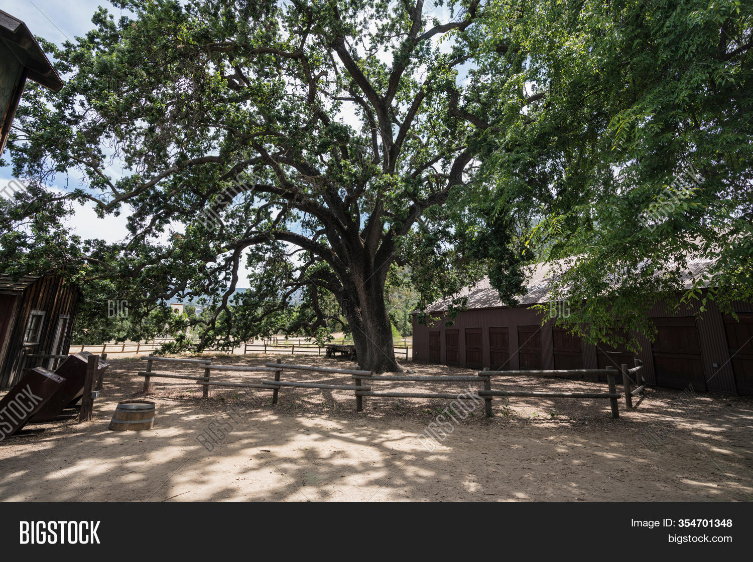 Famous Oak Tree Known Image & Photo (Free Trial) | Bigstock