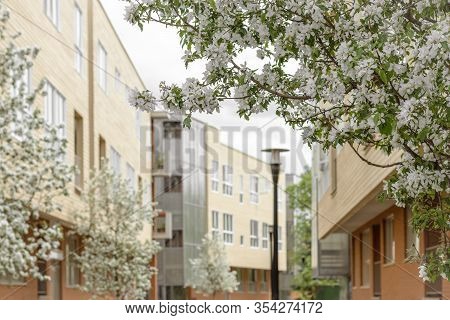 Spring City. Street Image & Photo (Free Trial) | Bigstock