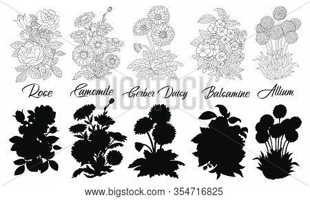 Allium Images, Illustrations & Vectors (Free) - Bigstock