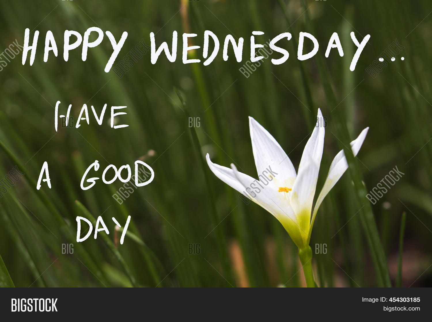 Happy Wednesday Flowers