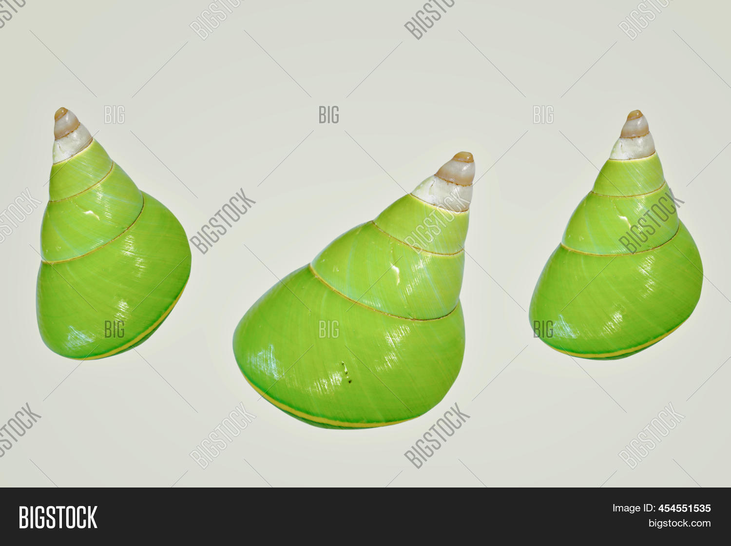 Emerald Green Snail Image & Photo (Free Trial) | Bigstock