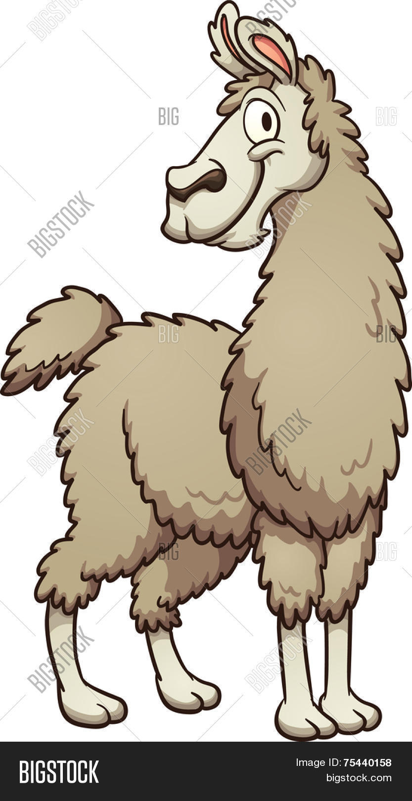 Smiling 矢量图和照片（免费试用） | Bigstock