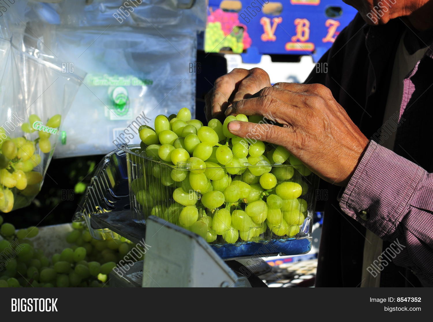 Packing Grapes Image & Photo (Free Trial) | Bigstock