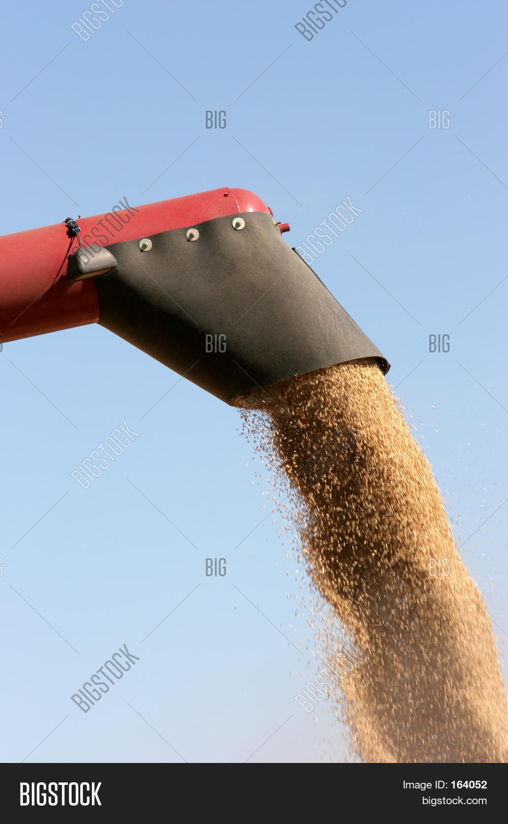 Barley Harvest Image & Photo (Free Trial) | Bigstock