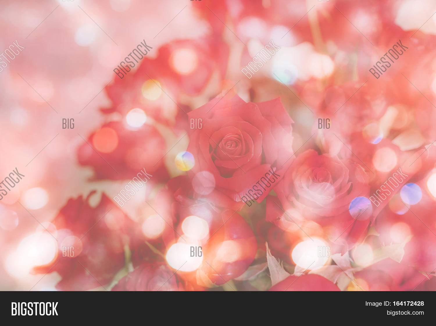 Abstract Roses Bokeh Image & Photo (Free Trial) | Bigstock