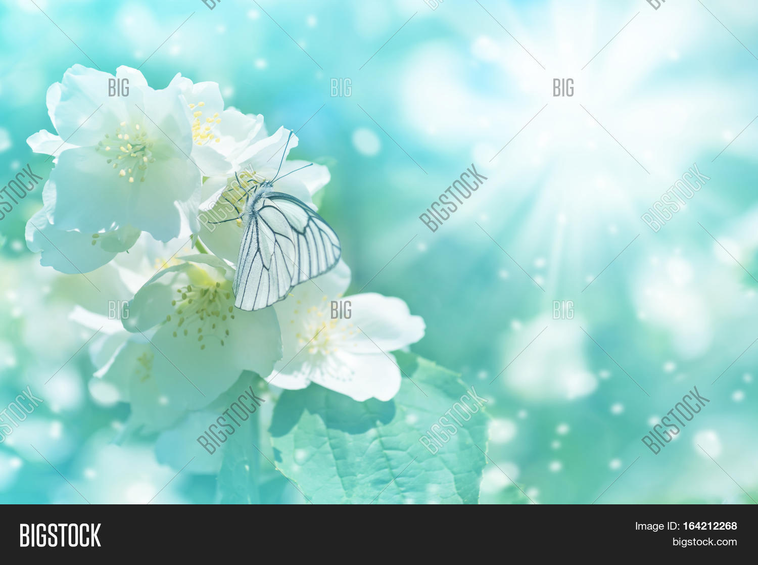Gentle Spring Image & Photo (Free Trial) | Bigstock