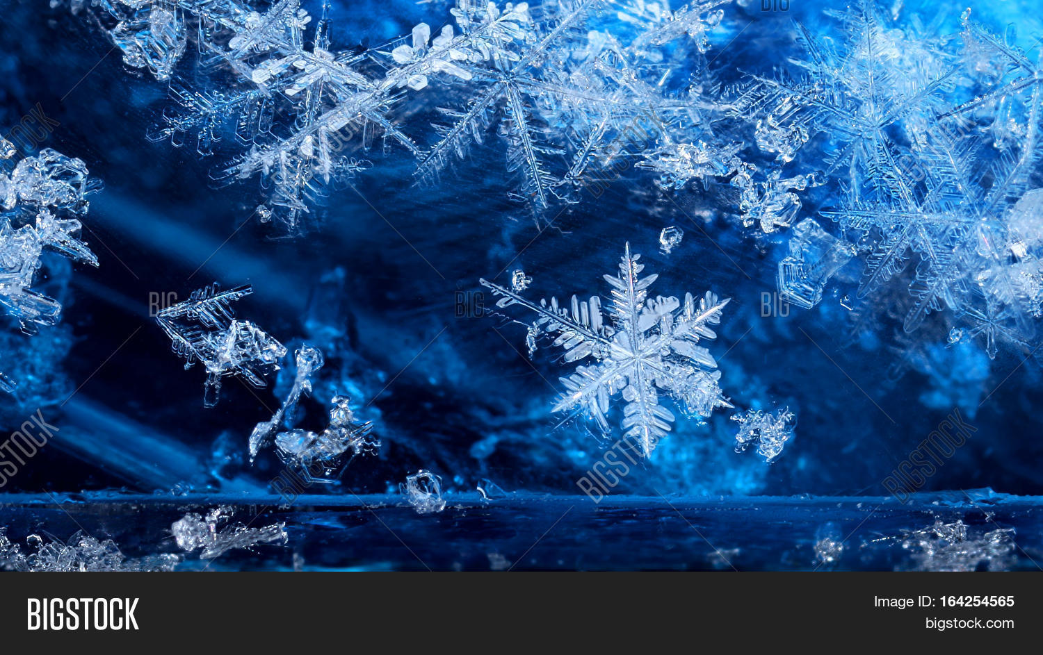 Elements Cold Winter Image & Photo (Free Trial) | Bigstock