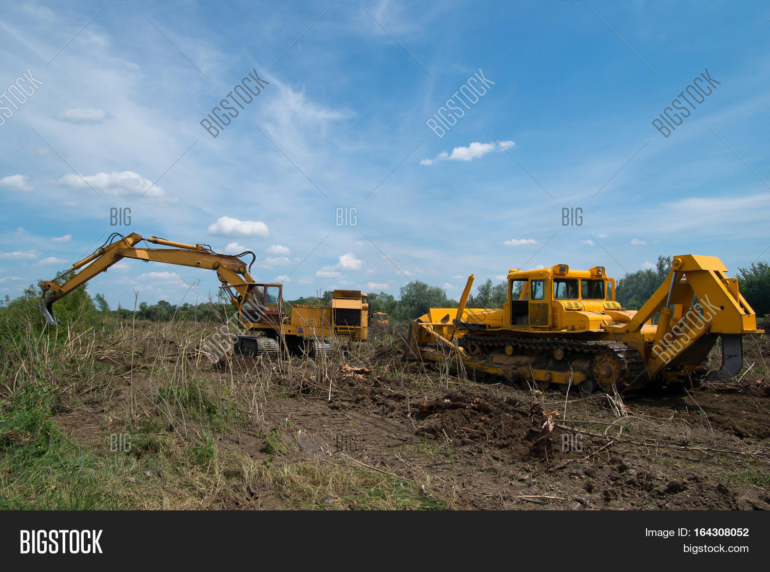 Eradicating Forest Image & Photo (Free Trial) | Bigstock