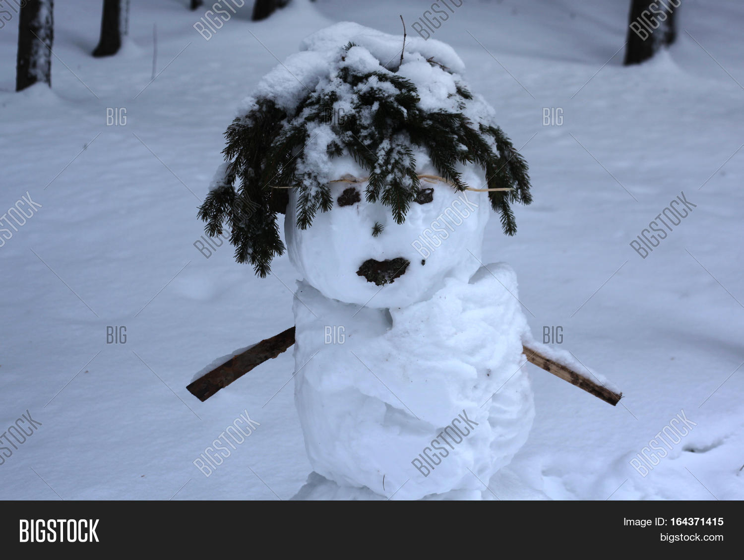 Snowman Hair Eyes Made Image & Photo (Free Trial) | Bigstock