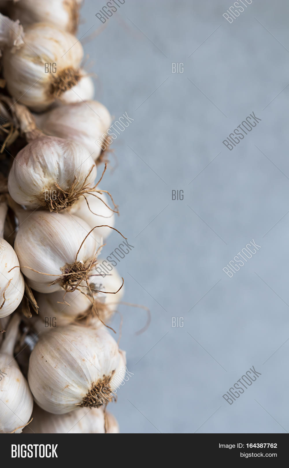String Garlic Image & Photo (Free Trial) | Bigstock