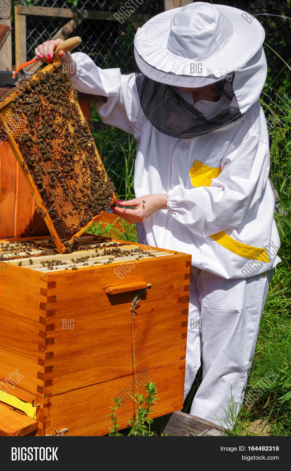Woman Beekeeper White Image & Photo (Free Trial) | Bigstock