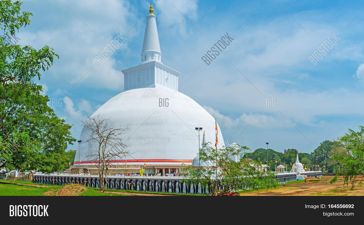 Venerate Definition Of Venerate By The Free Dictionary