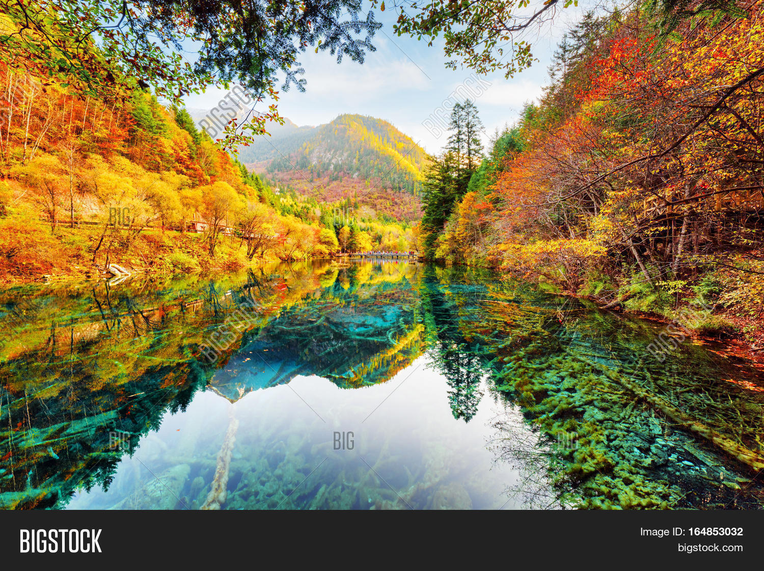 Wonderful View Five Image & Photo (Free Trial) | Bigstock