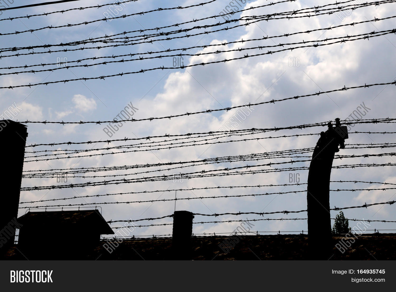 Many Lines Dangerous Image & Photo (Free Trial) | Bigstock