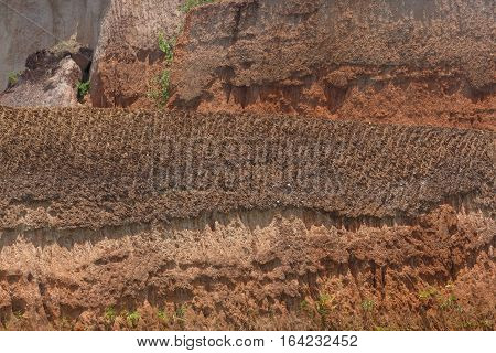 ภาพและภาพถ่าย (ทดลองใช้ฟรี) | Bigstock