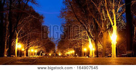 Path Night Park Ruse Image & Photo (Free Trial) | Bigstock