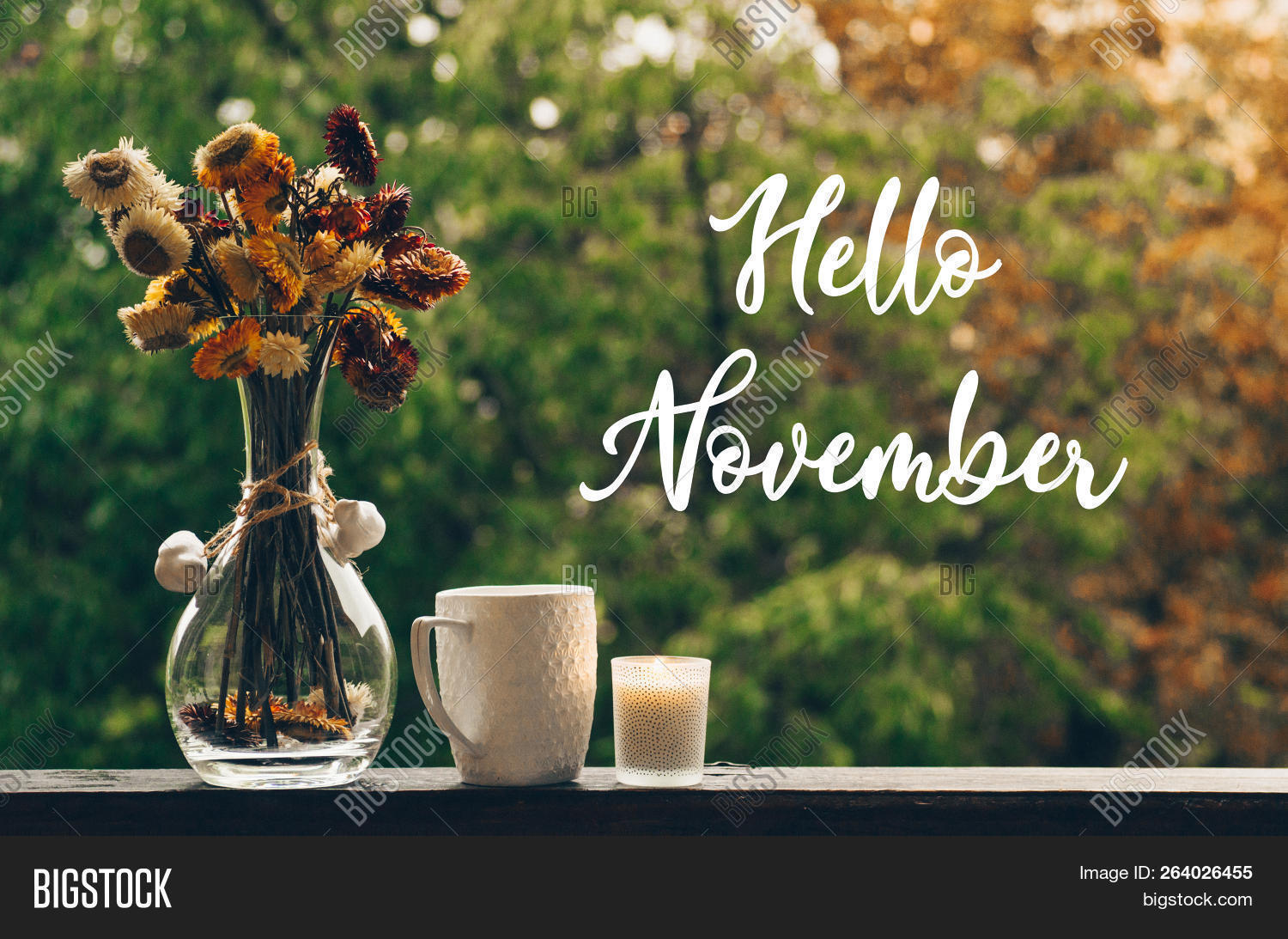 Hello November. Cozy Image & Photo (Free Trial) | Bigstock