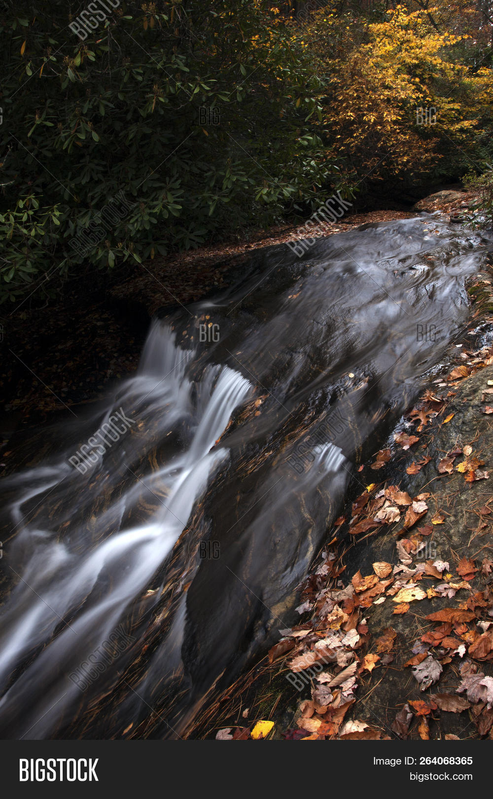 East Fork Overflow Image & Photo (Free Trial) | Bigstock