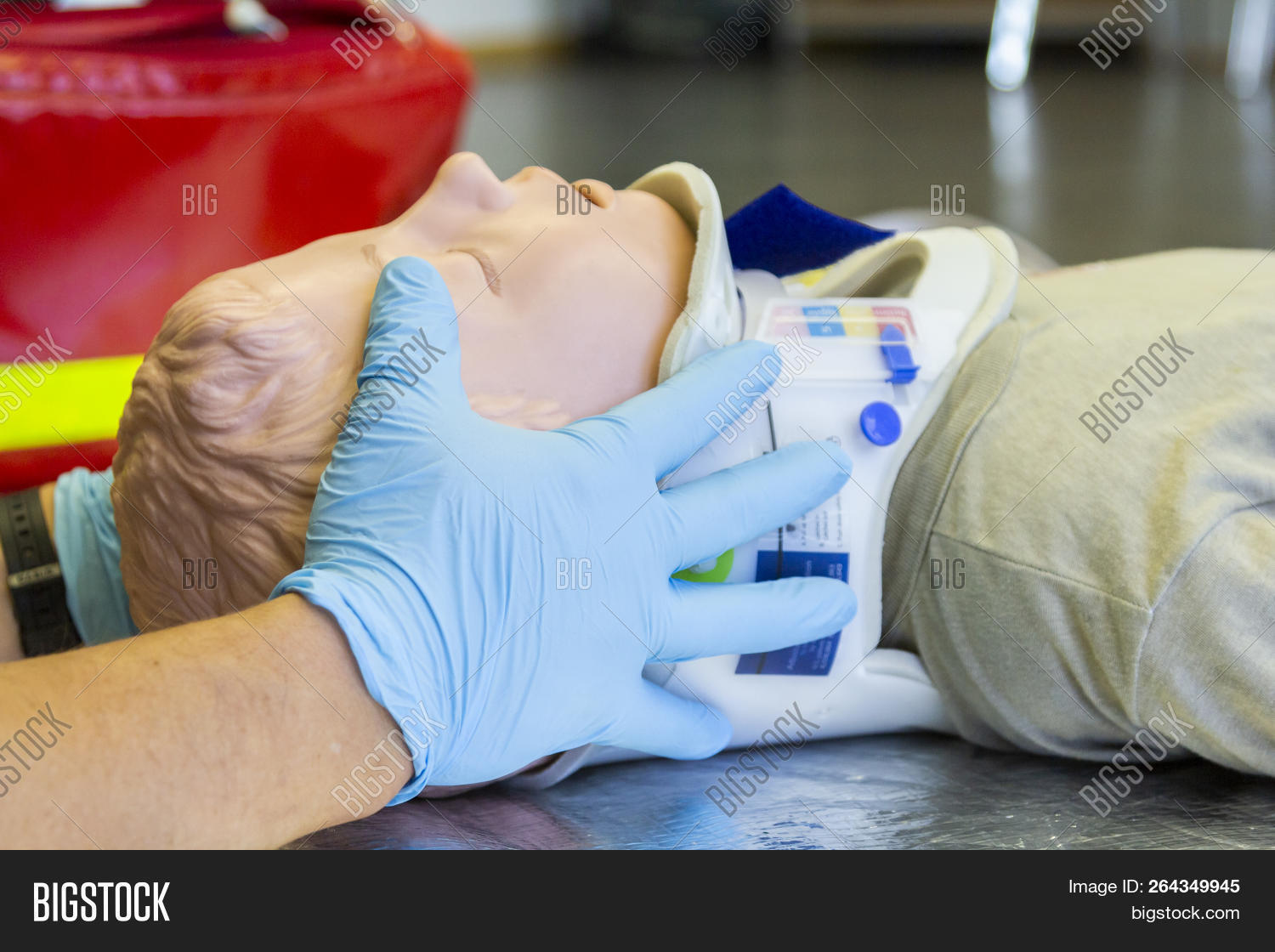 Human Hands Image & Photo (Free Trial) | Bigstock