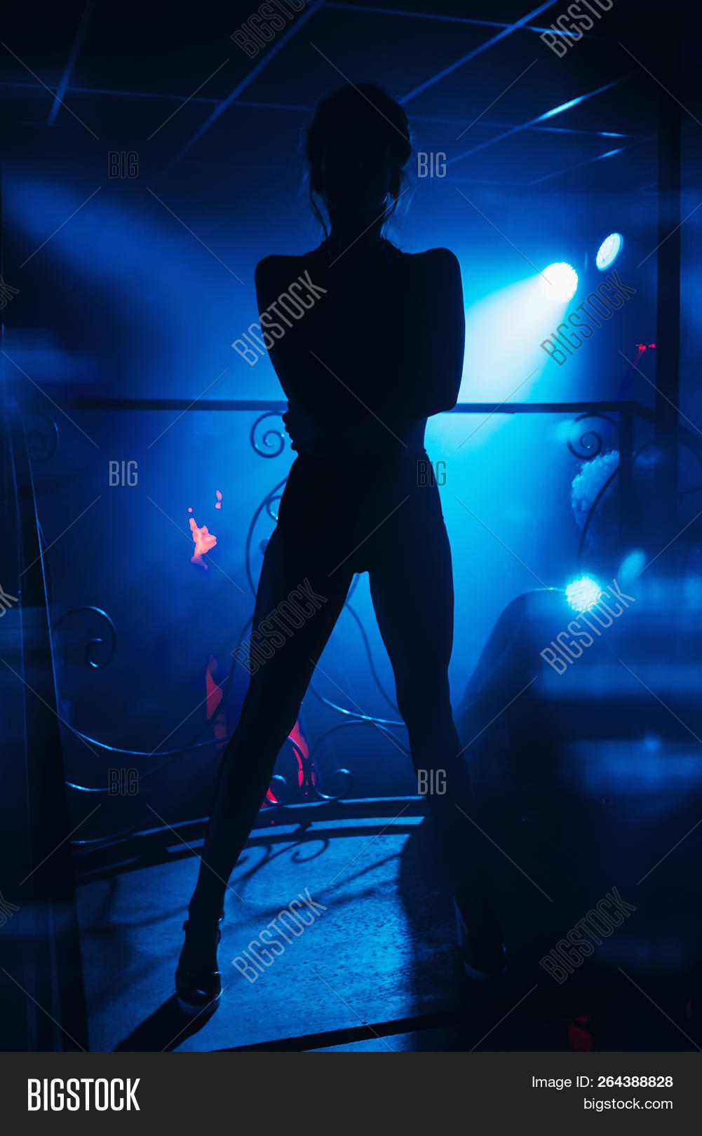 Go-go Dancer Posing On Image & Photo (Free Trial) | Bigstock