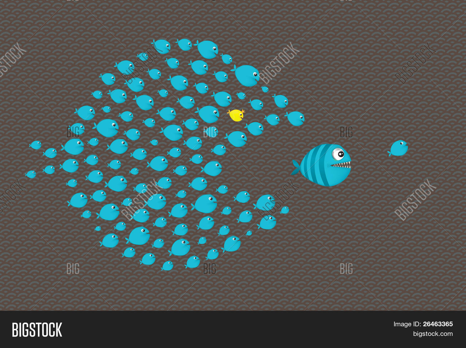 Fish Group Chasing Big Image & Photo (Free Trial) | Bigstock