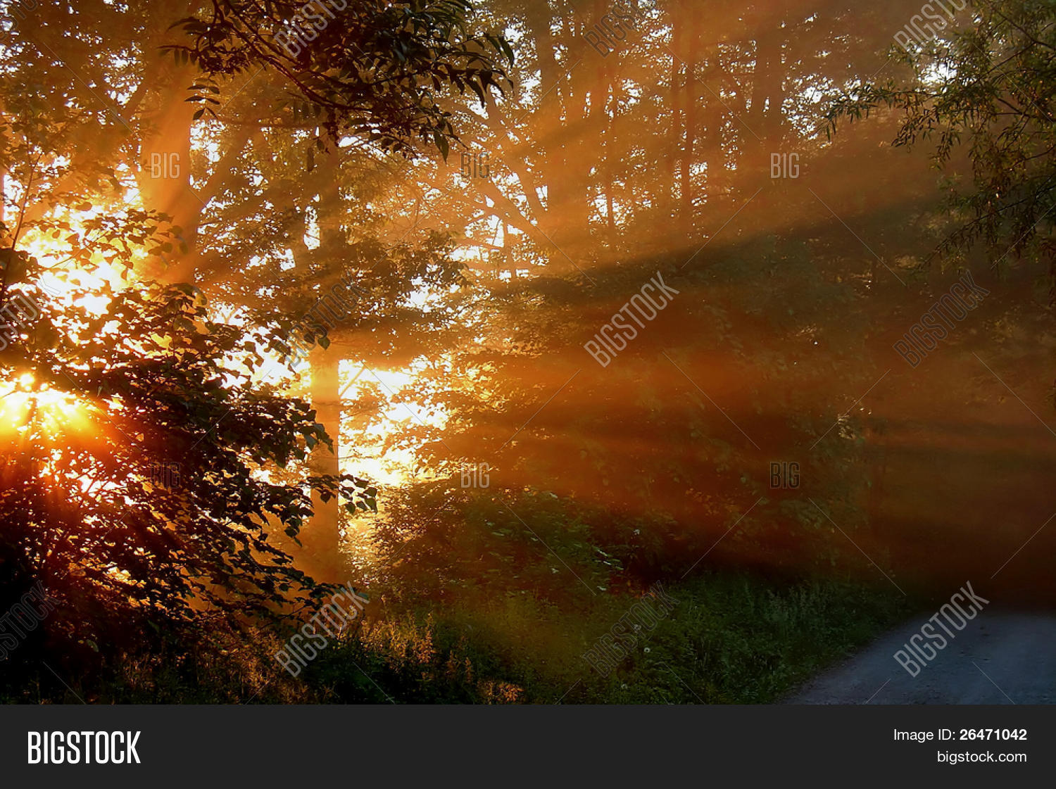 Beauty-light Image & Photo (Free Trial) | Bigstock