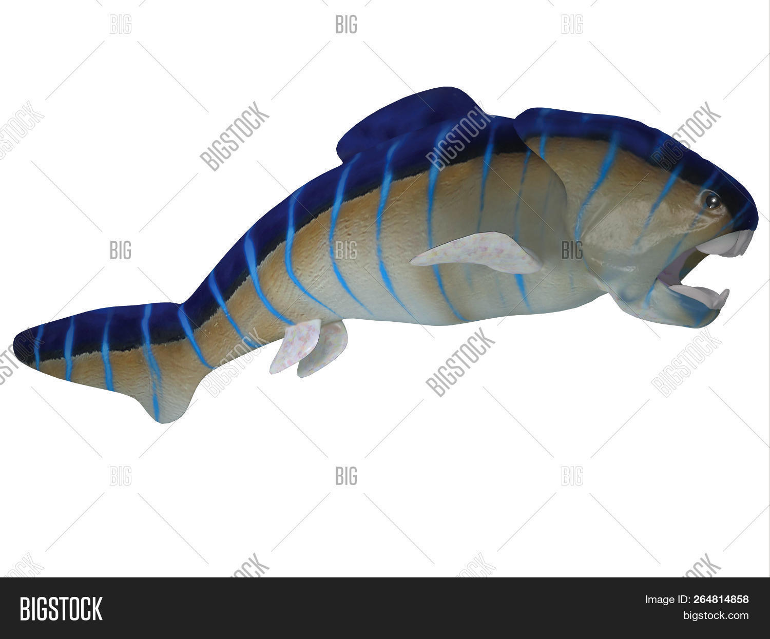 Devonian Period Fish