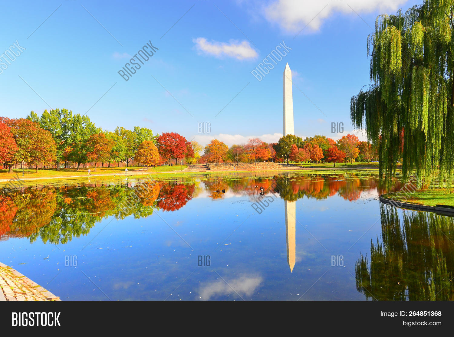 Washington DC Autumn Image & Photo (Free Trial) | Bigstock